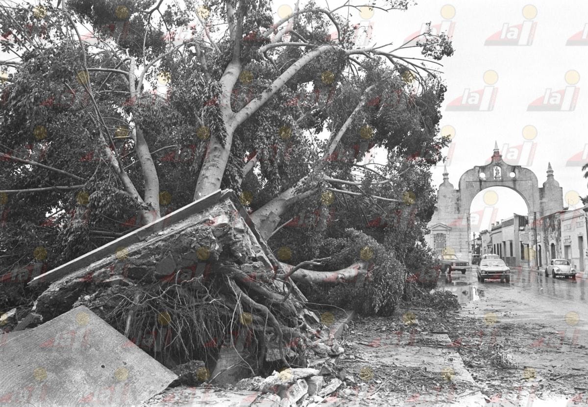 A 34 años del paso de 'Gilberto' por Yucatán y Campeche