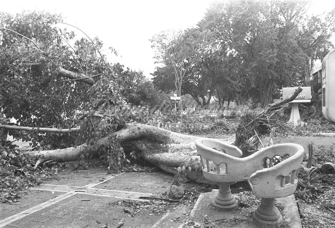 A 35 años del devastador 'huracán del siglo', Gilberto en Yucatán