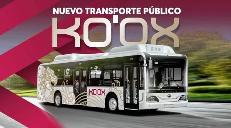 Ko'ox, nuevo trasporte urbano en Campeche - La i Noticias